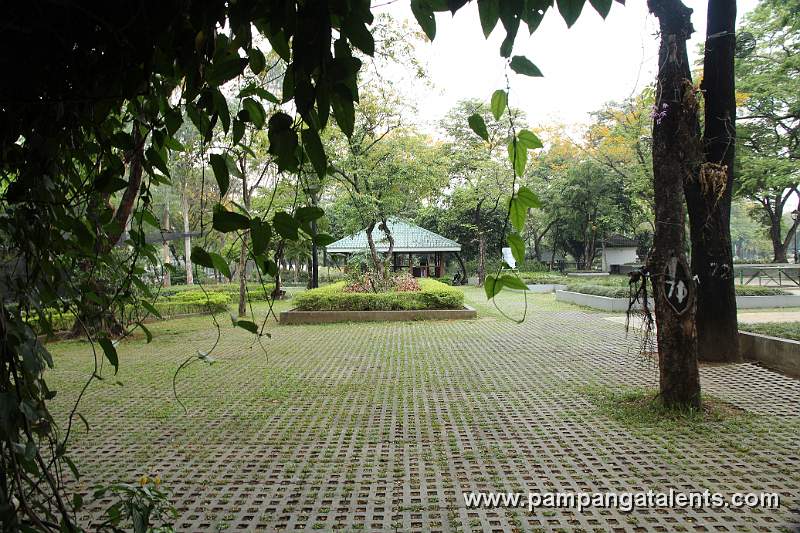 Flower Garden Quezon City Metro Manila | Best Flower Site