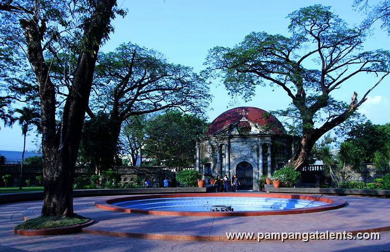 Doves in Memorial Park